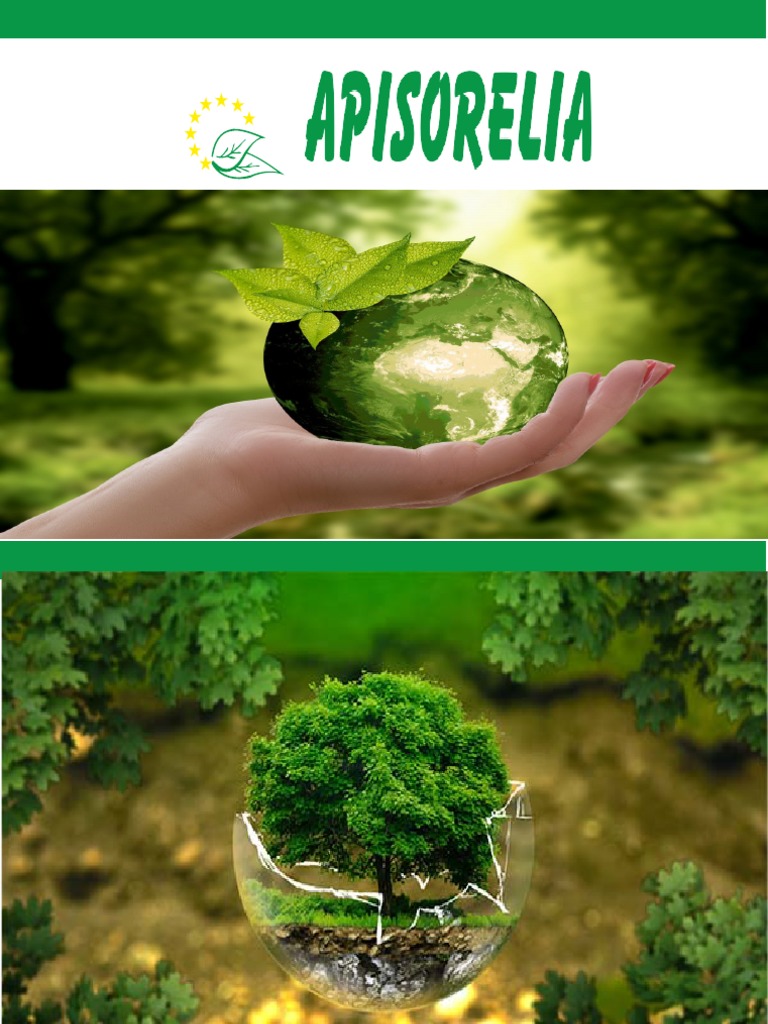 Apisorelia - Catalog Engleza | PDF | Soil | Waste