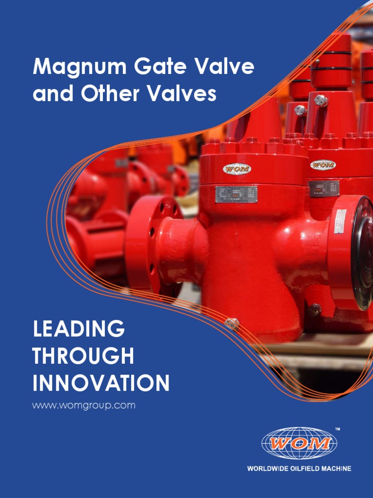 MGVs Combined 1 | PDF | Valve | Stainless Steel