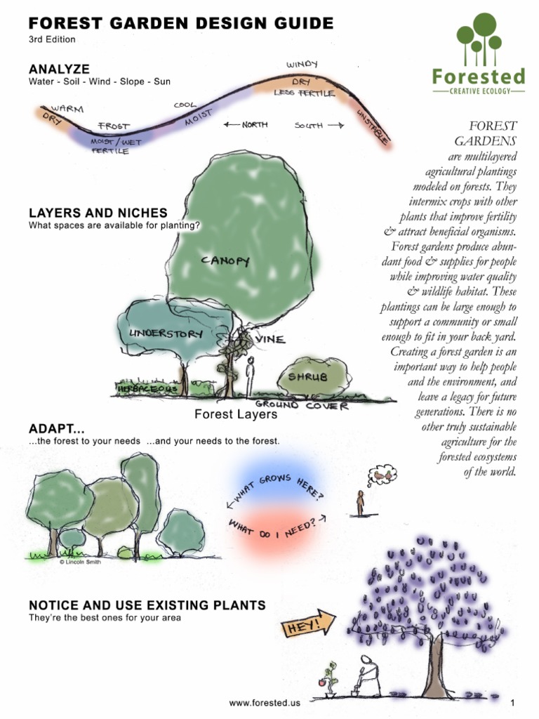 Forest Garden Design Guide v3 | PDF