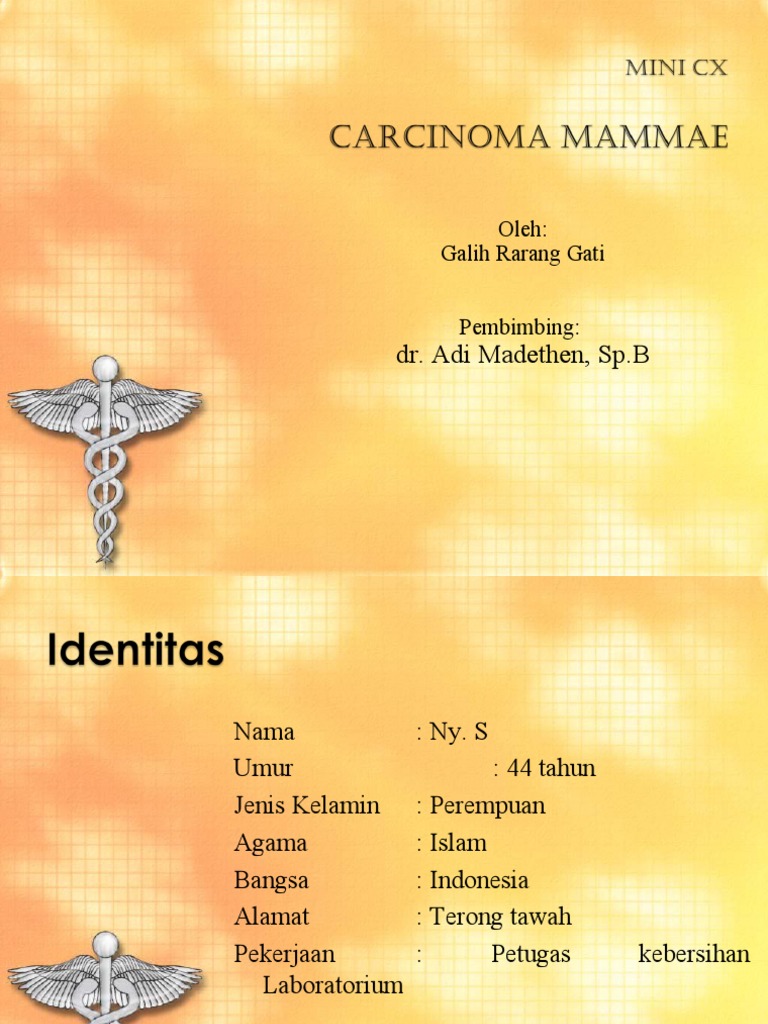 Mini CX Ca Mamae | PDF