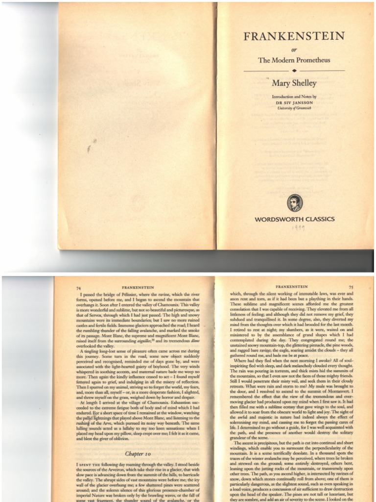 Frankenstein - The Creature's Tale | PDF