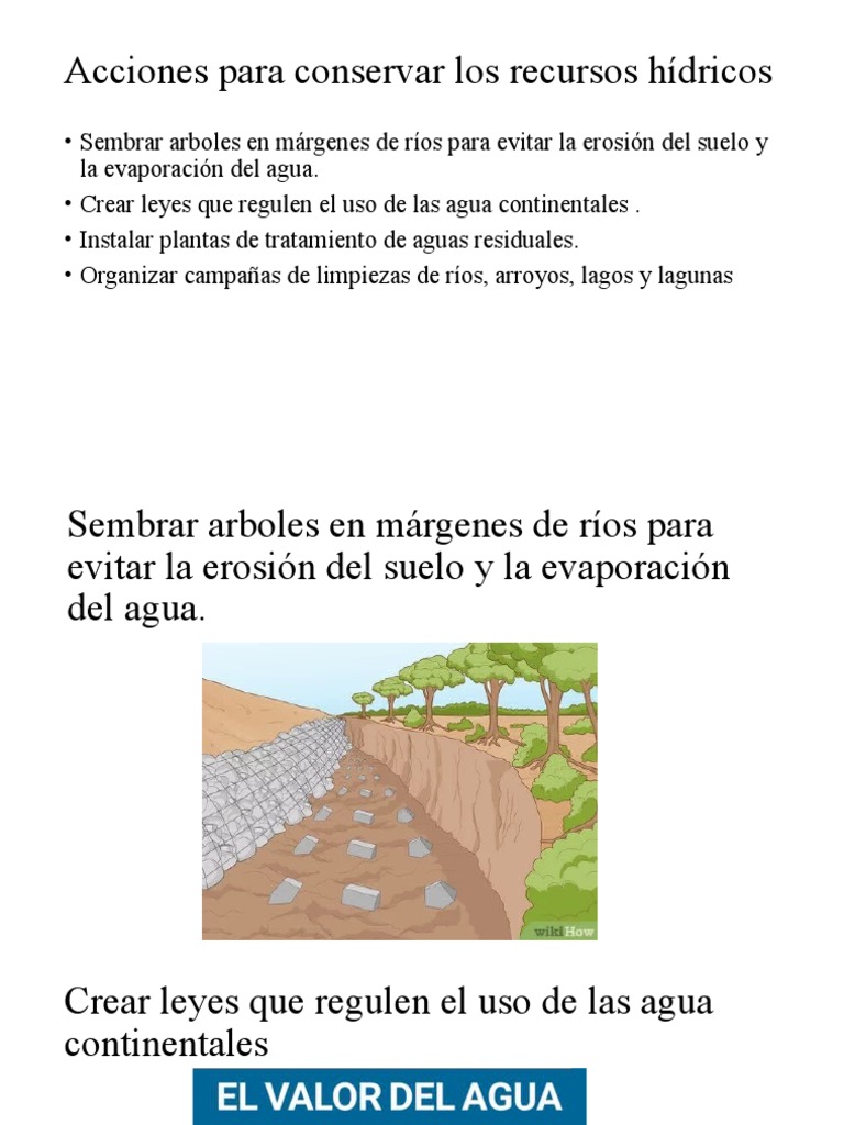 Acciones Para Conservar Los Recursos Hídricos Pdf