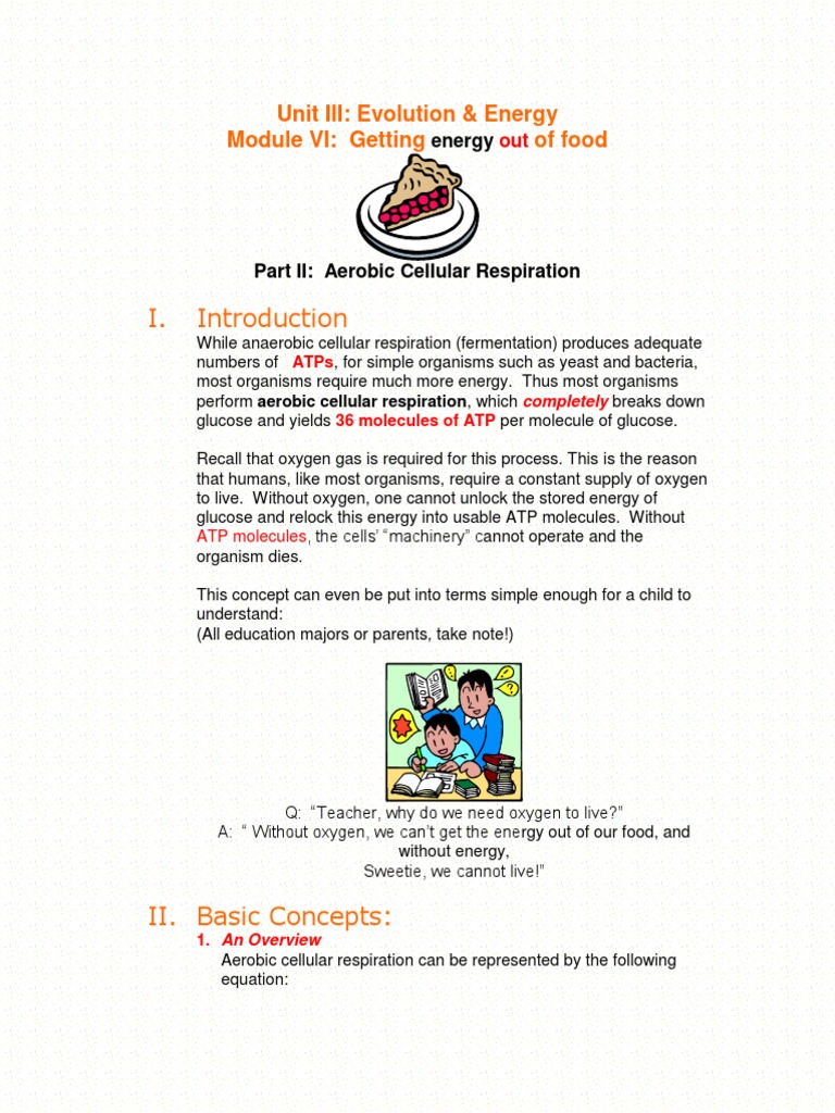 Reading Material - Cellular-Respiration | Download Free PDF | Diet ...