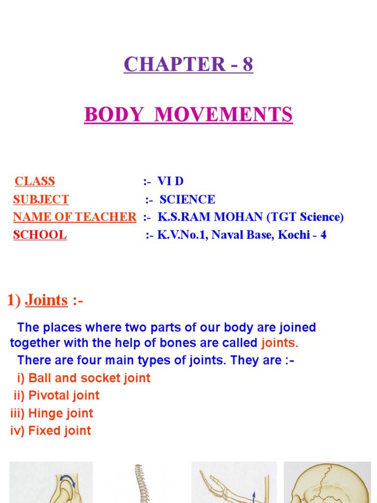 Understanding Body Movements and Joints | PDF | Skeleton | Anatomy