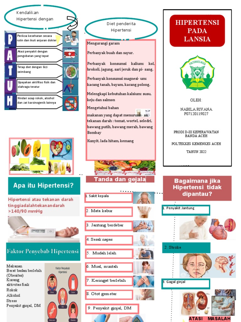 Leaflet Lansia | PDF