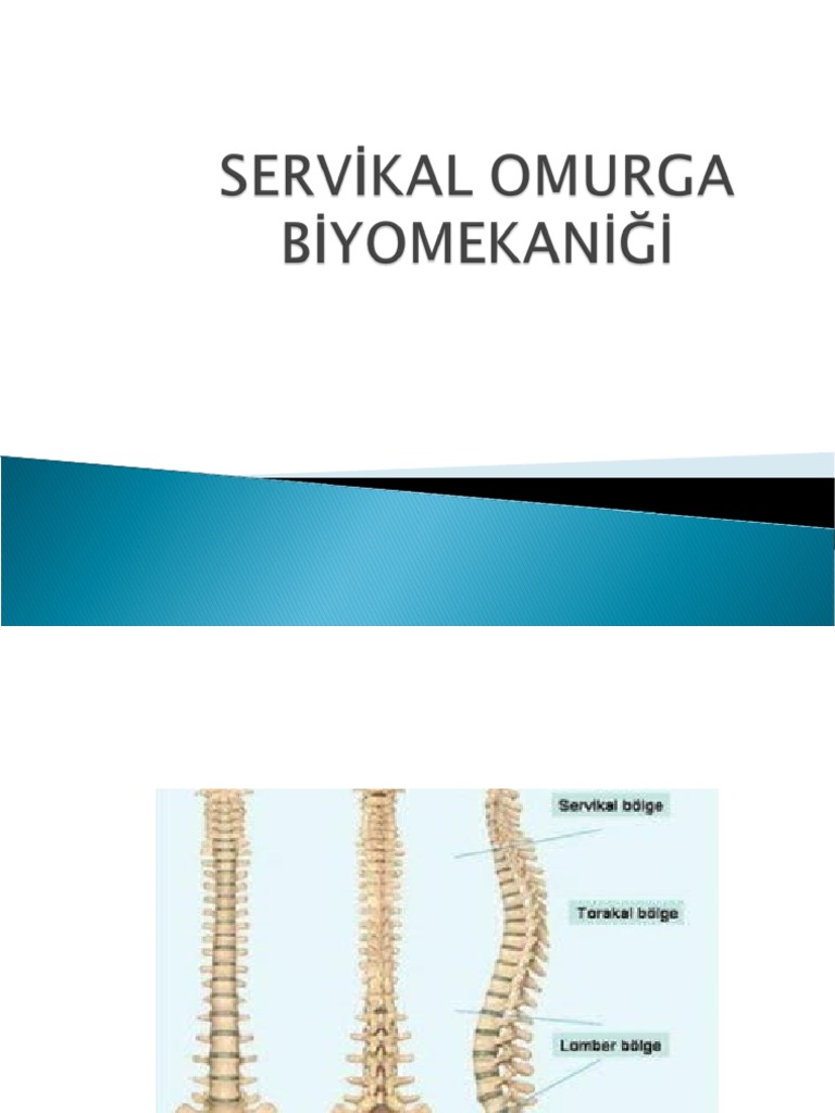Servikal Omurga Biyomekaniği | PDF