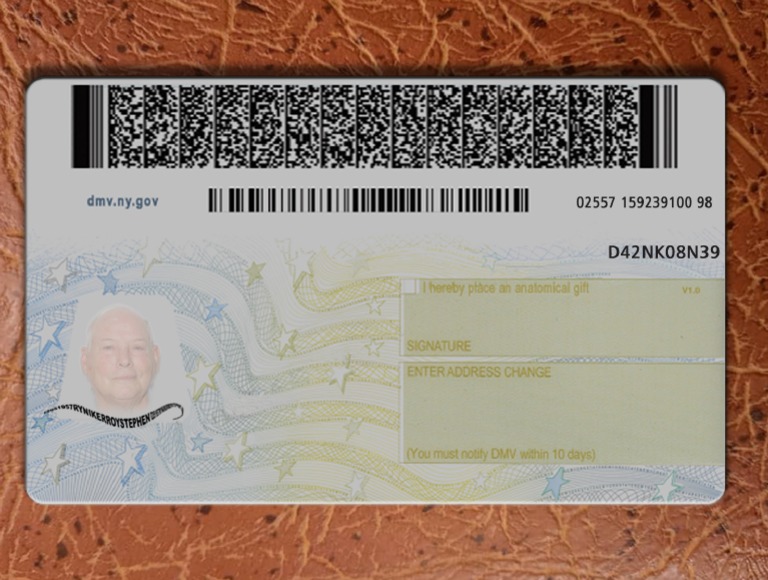 Roy Stephen DL Back | PDF