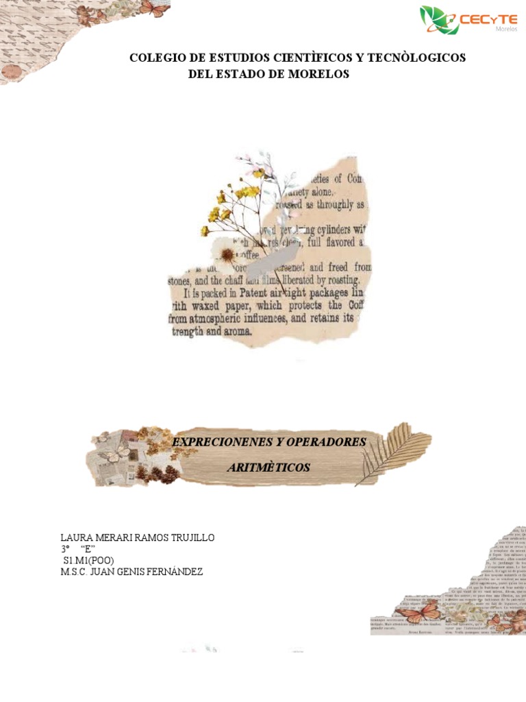 MERARI | PDF | Hardware de la computadora | Periférico