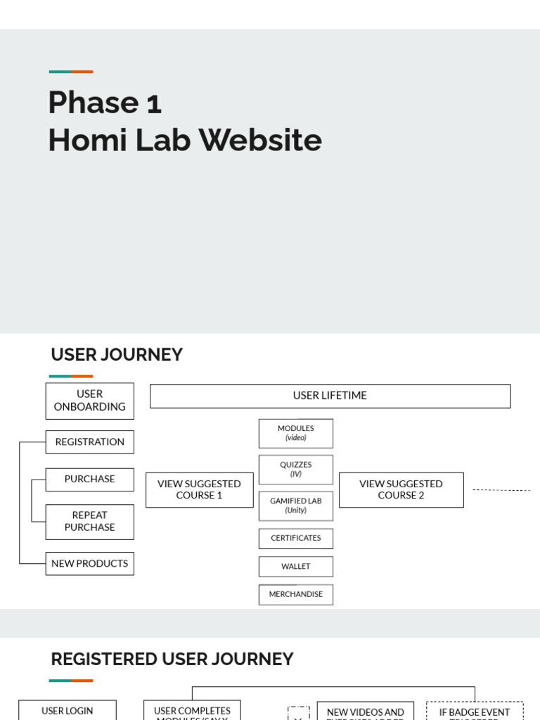 Phase 1 - Homi Lab | Download Free PDF | Information Age | Software Development