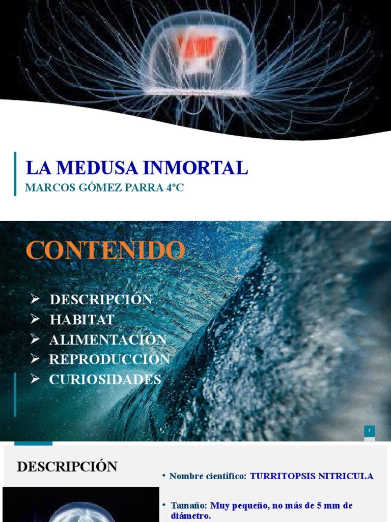 La Medusa Inmortal | PDF