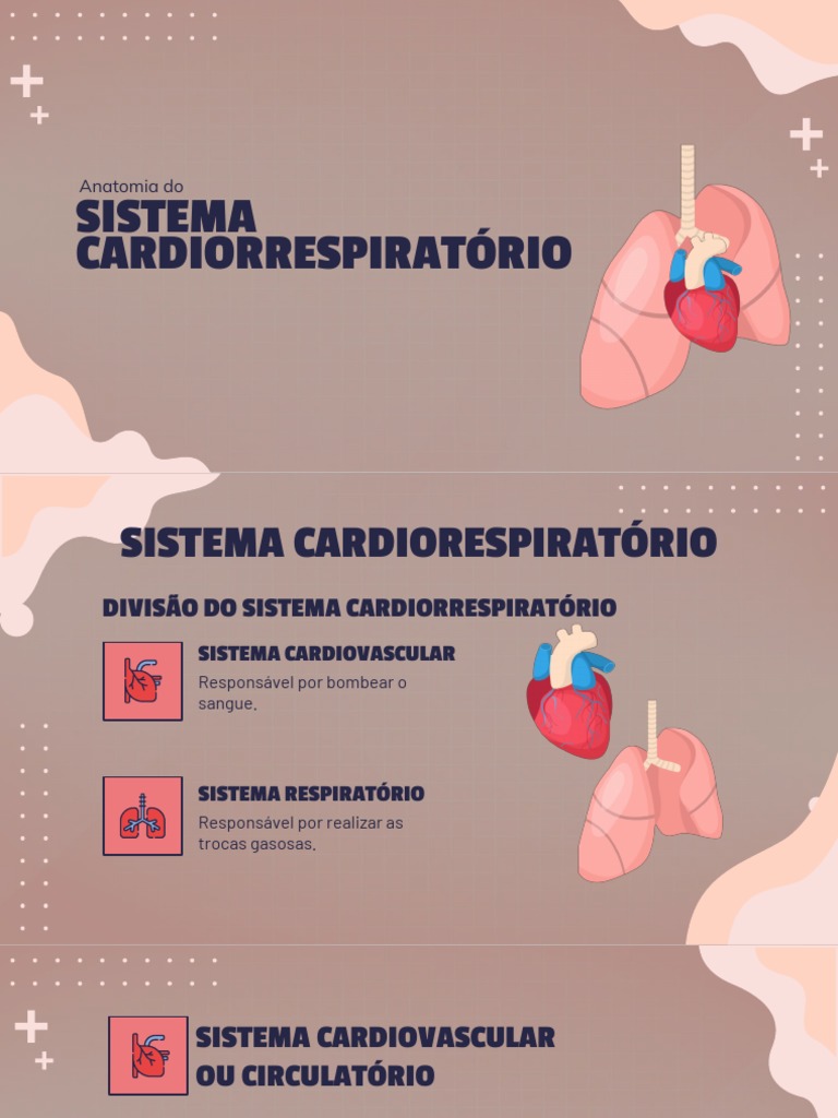 A anatomia dos sistemas cardiorespiratório: uma visão geral de suas ...