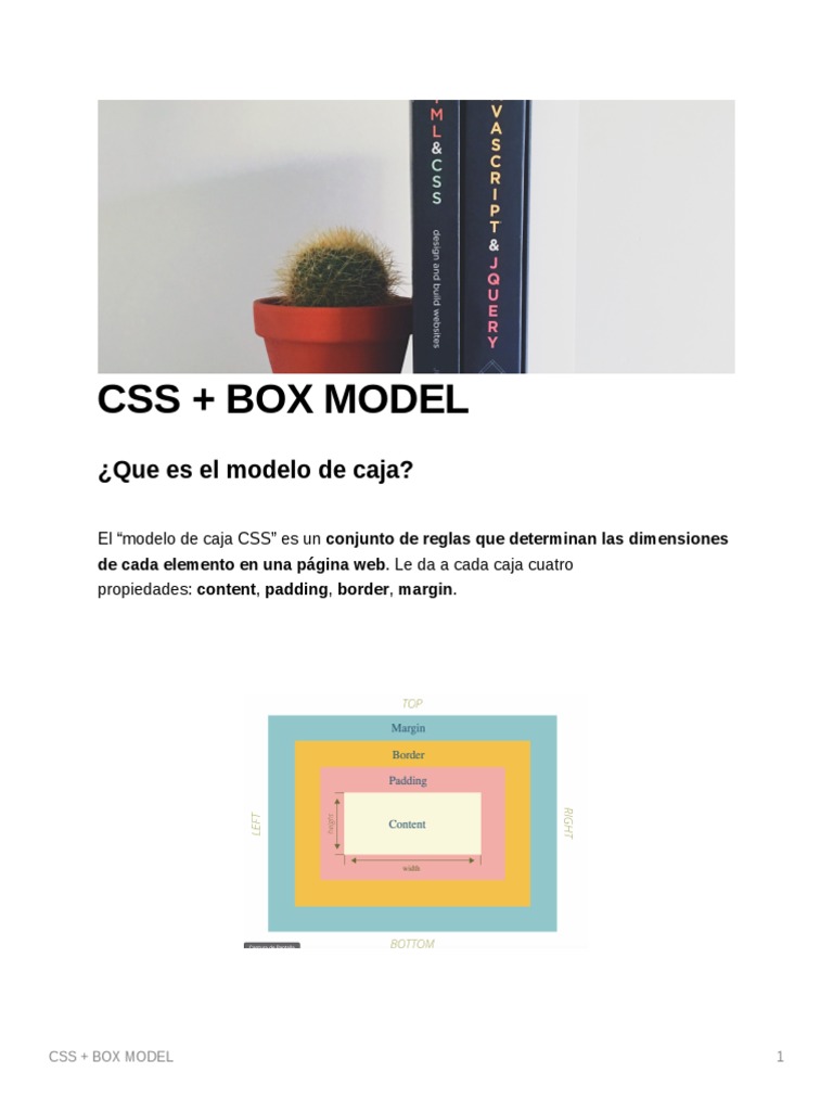 CSS Box Model | PDF | Red mundial | Internet y web