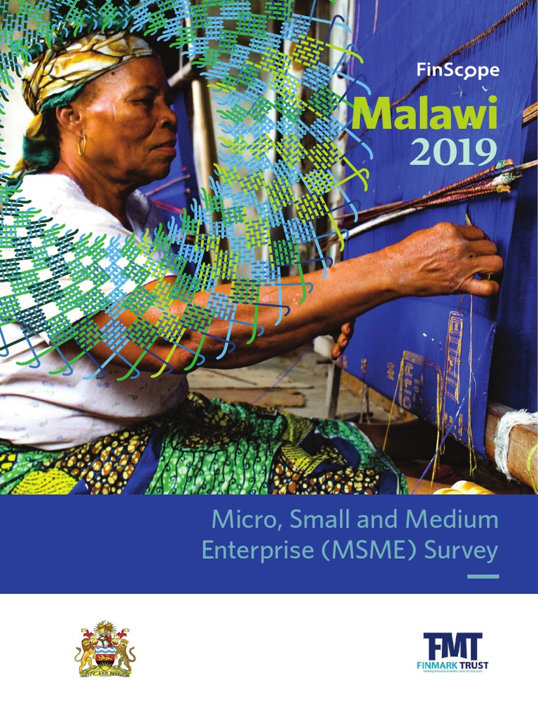 Finscope MSME 2019 Survey Full Report | PDF | Small And Medium Sized ...