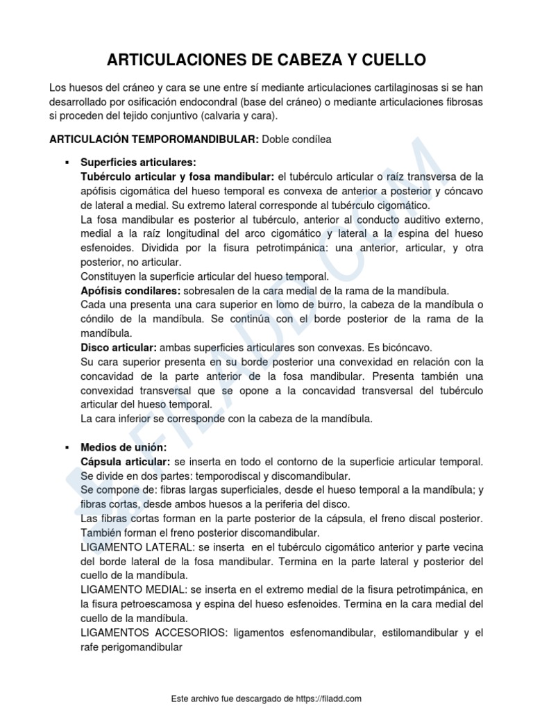 Articulaciones de Cabeza y Cuello | PDF | Articulación | Cabeza y cuello humanos