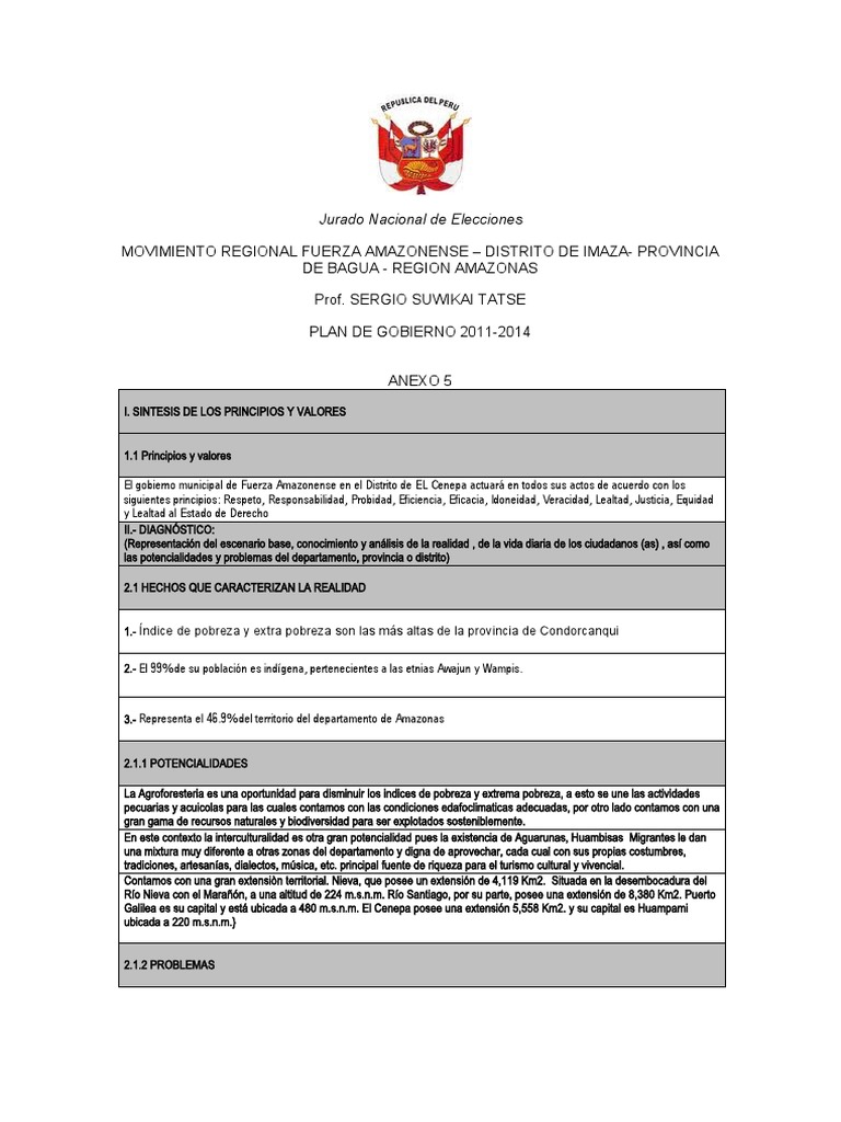 FORMATO de PLAN DE GOBIERNO | PDF