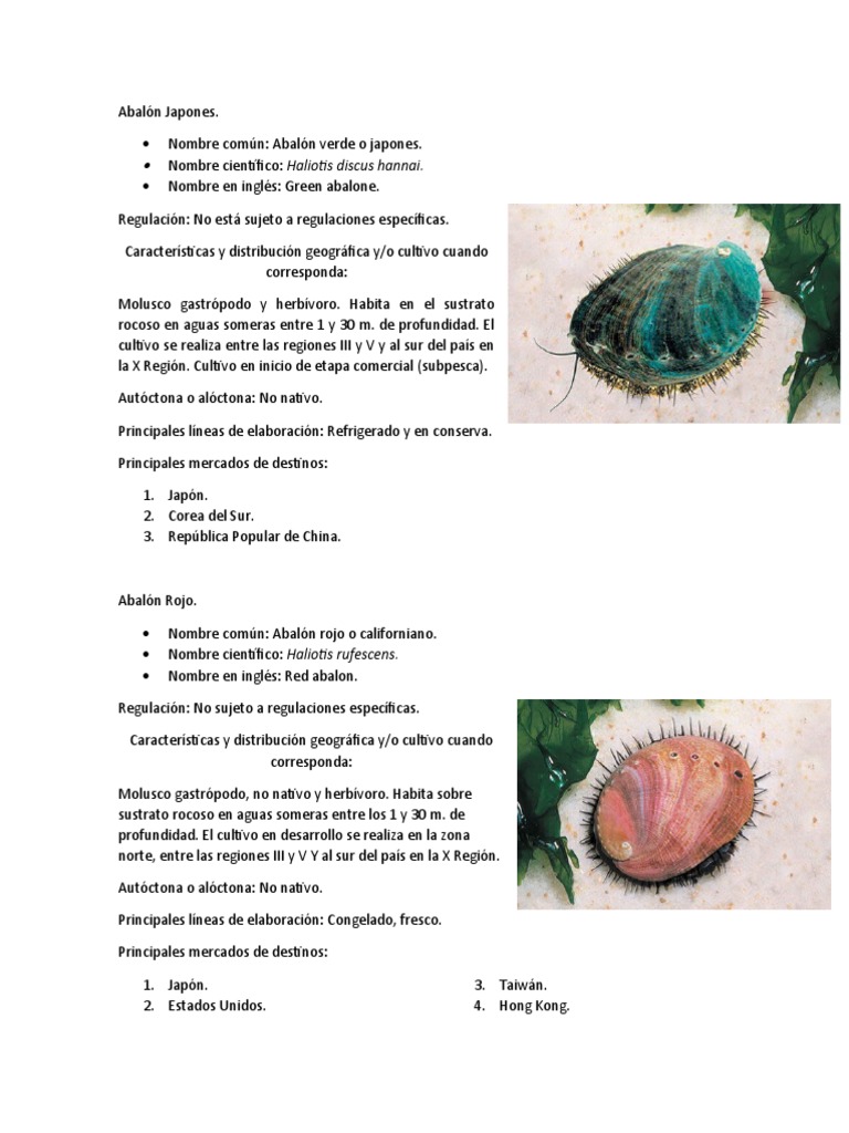 Abalones y moluscos chilenos | PDF | Moluscos