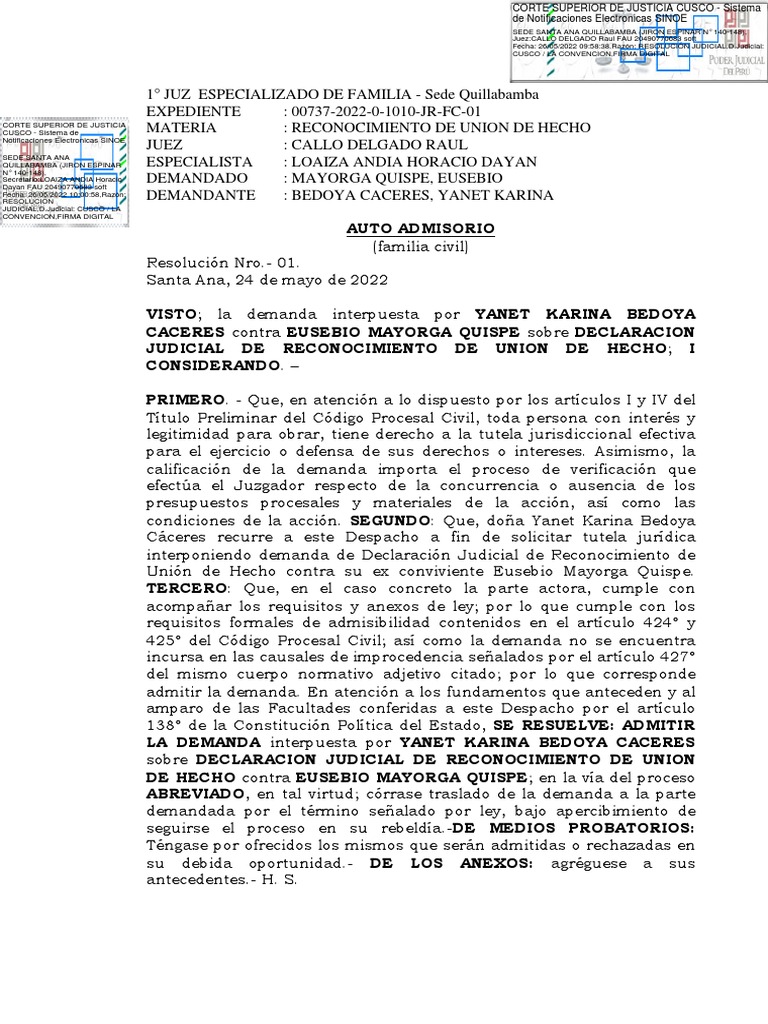 Auto Admisorio | PDF | Separación de poderes | Principios éticos