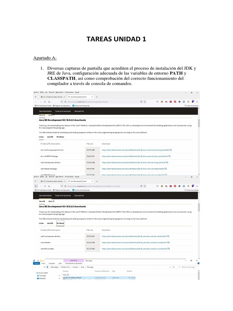 DAW PROG01 Tarea1 | PDF