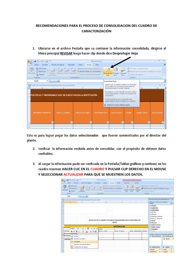 Guía para Consolidar Cuadro de Datos | PDF