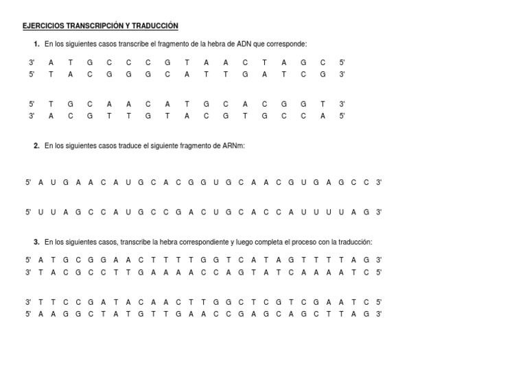 4 Ejercicios Transcripción y Traducción | PDF