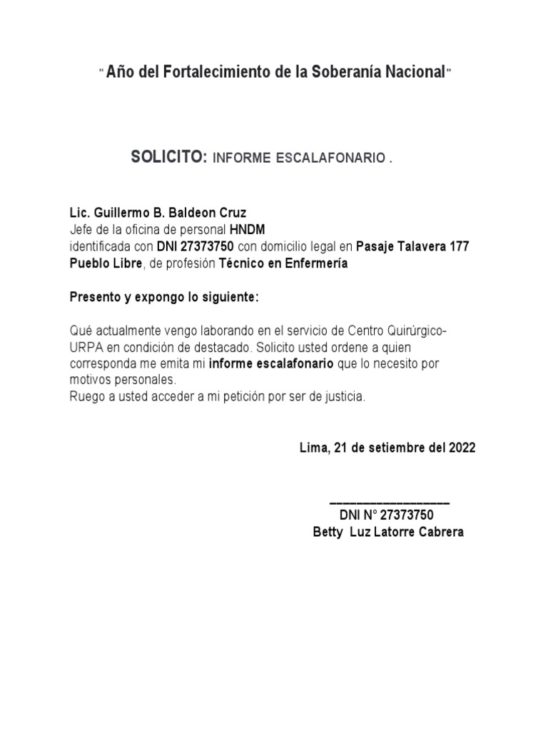 Solicitud de Informe Escalafonario | PDF