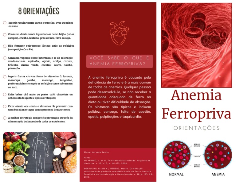 Orientação - Anemia Ferropriva | PDF | Anemia | Ferro