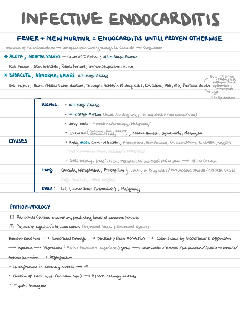 Infective endocarditis | PDF | Diseases And Disorders | Medical Specialties