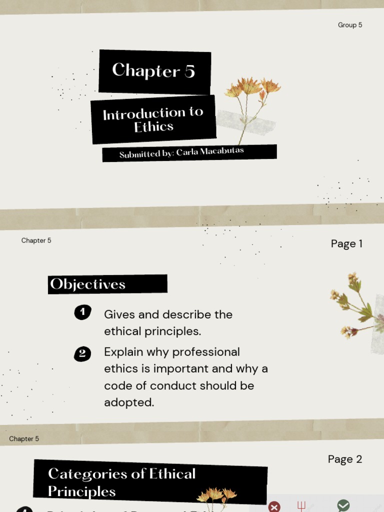 Principles Of Professional Ethics Pdf Professional Ethics Applied