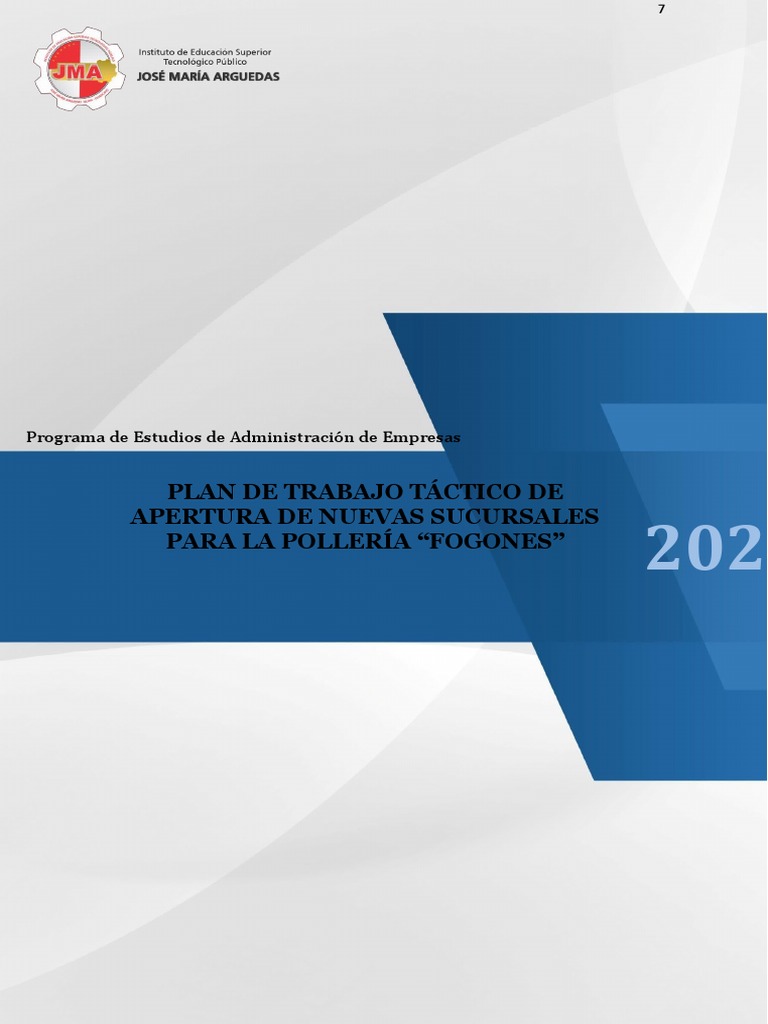 Plan Tactico. | PDF | Presupuesto | Economias