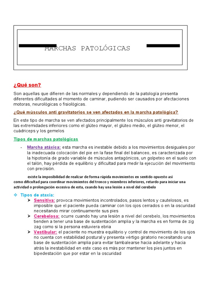 Marchas Patológicas | PDF | Pie | Músculo esquelético