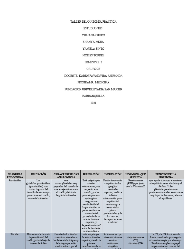 Cuadro Sistema Endocrino - Otero, Pinto, Mejia, Torres 2B | PDF ...