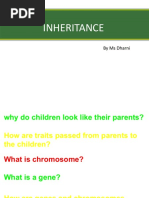 8th Grade Science-Genetics and Heredity | PDF | Rna | Gene
