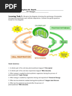 Brendan G Irvin - Amoeba Sisters Photosynthesis and Respiration Video ...