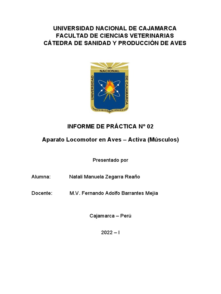 Aparato Locomotor en Aves - Activa (Músculos) | PDF | Músculo ...