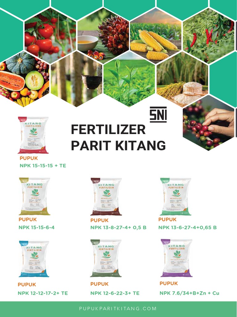 Kitang Fertilizer | PDF