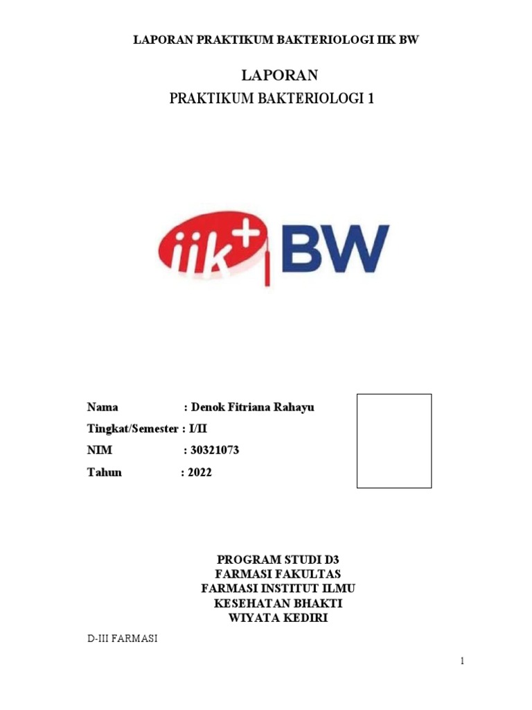 Praktikum MPV Antibiotik | PDF