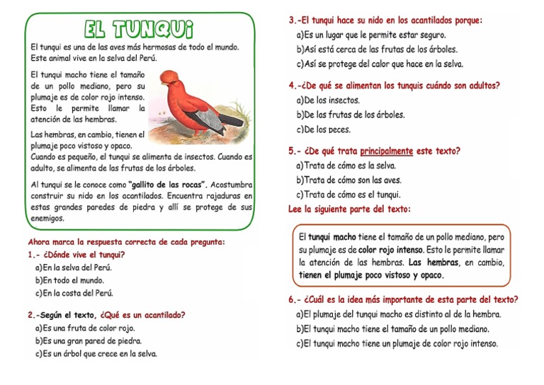 Lectura El Tunqui 2 | PDF