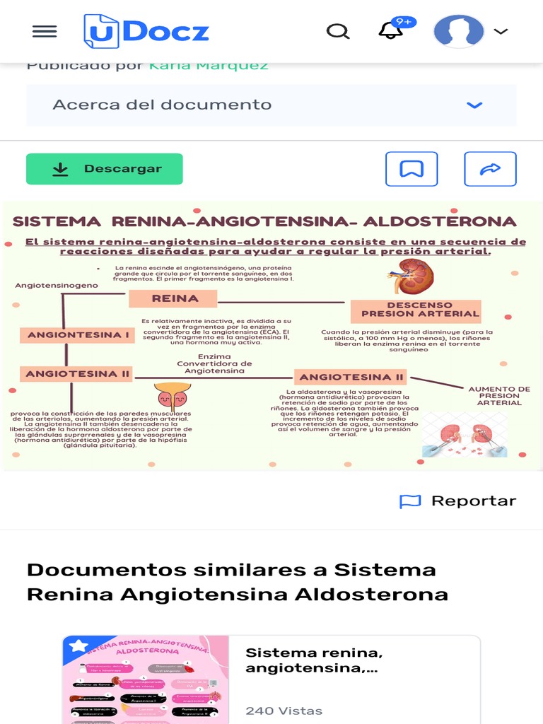 Sistema Renina Angiotensina Aldosterona Testosterona Resumen de ... Sistema Renina Angiotensina Aldosterona Testosterona Resumen de ...