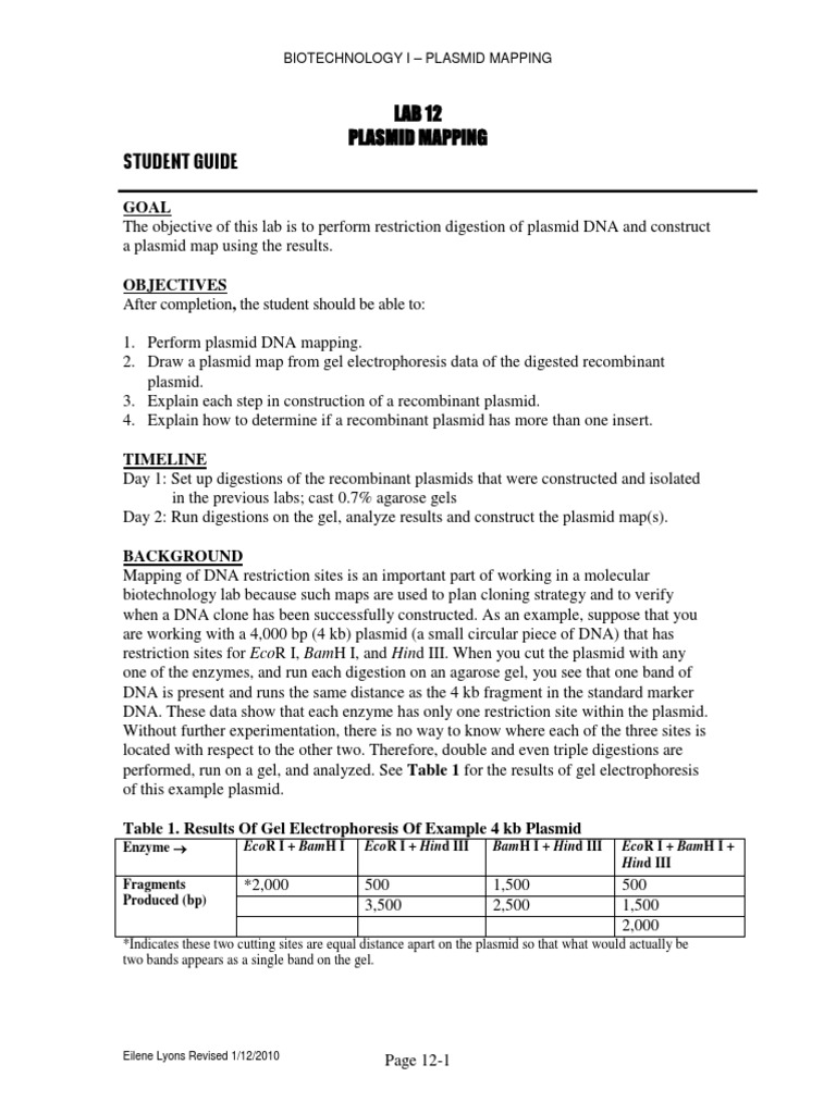 Biotechnology Plasmid Lab | Download Free PDF | Agarose Gel ...