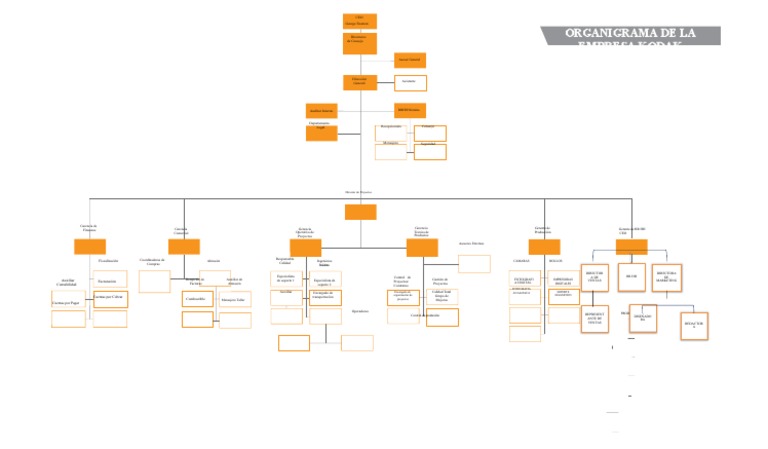 Organigrama De La Empresa Kodak Pdf Liderazgo Economias