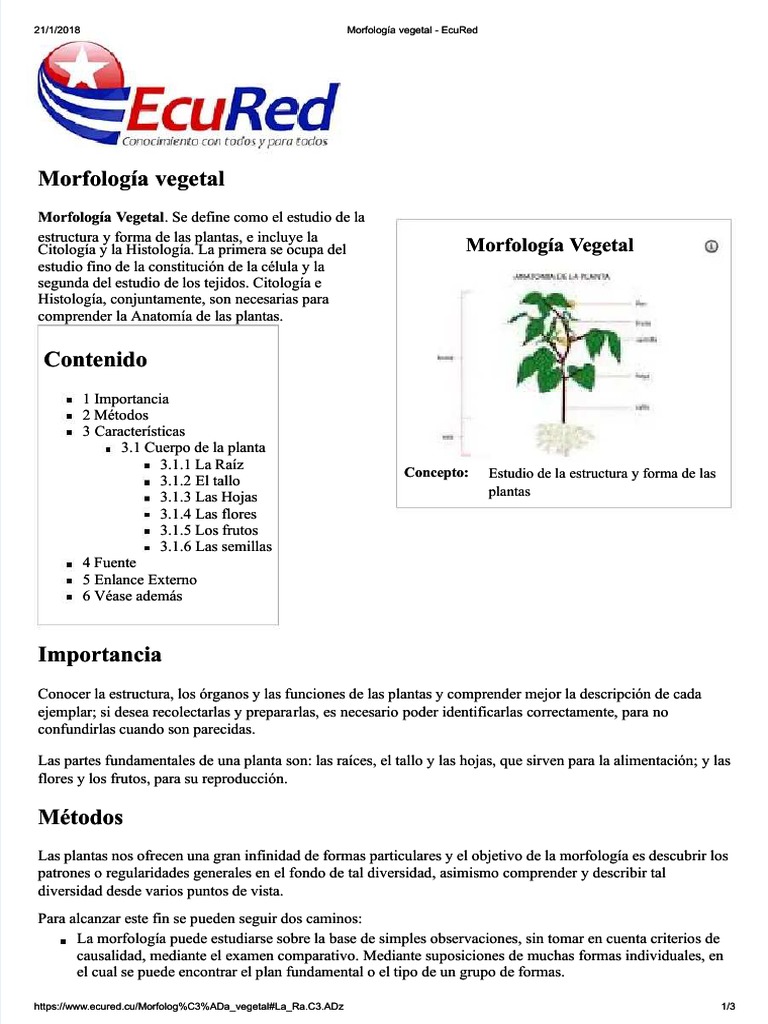 PDF Morfologia Vegetal Ecured - Compress | PDF | Morfología Vegetal ...