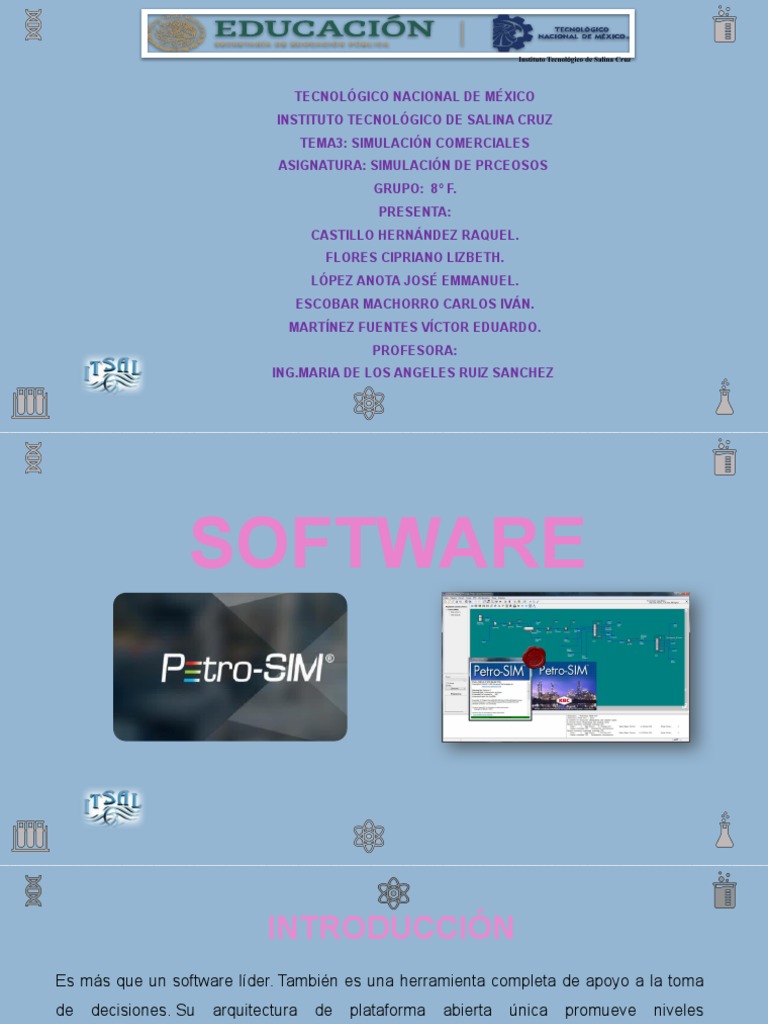 Petro - Sim.... Equipo1.................. 1 | PDF | Software | Simulación
