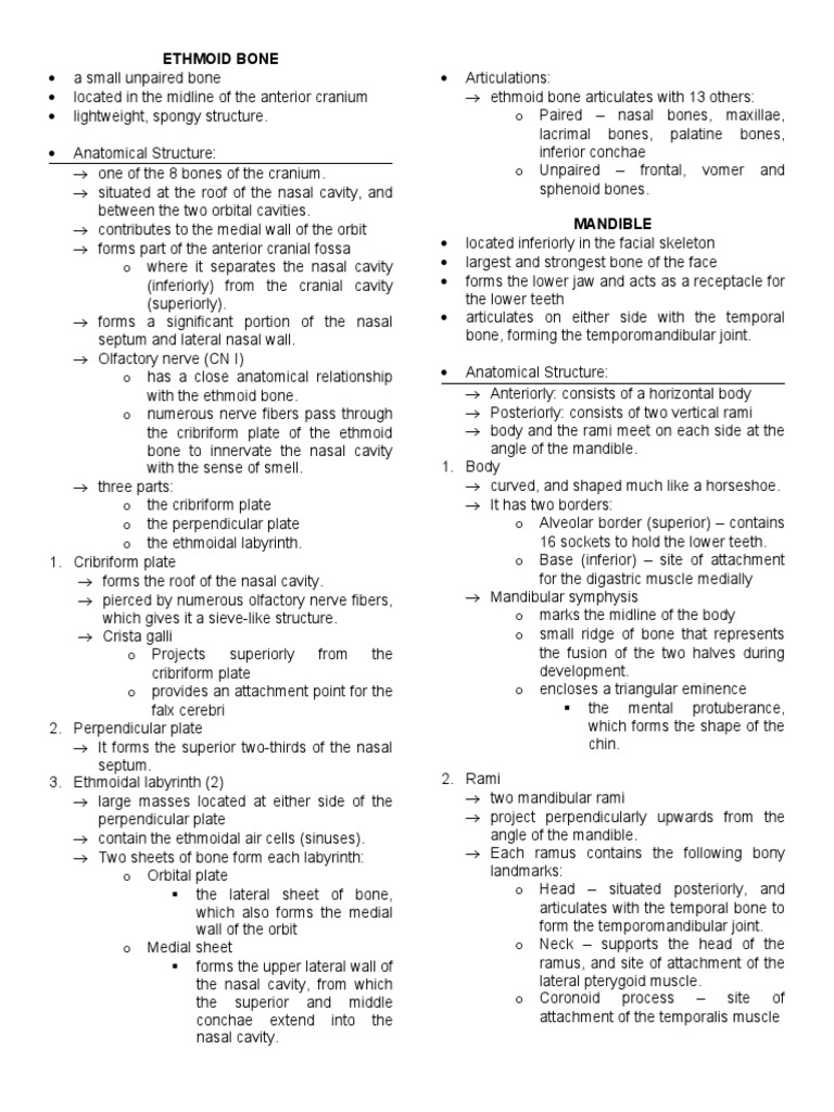 Ethmoid Bone | PDF | Skull | Skeletal System