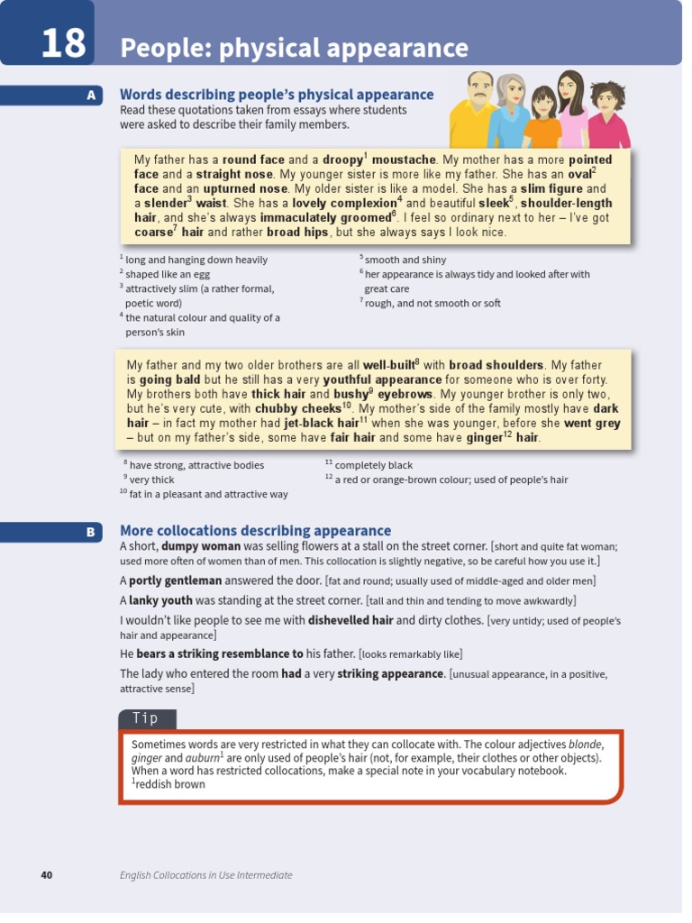 D13. Physical Appearance | PDF | Linguistics