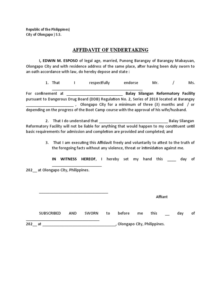 Affidavit of Undertaking | PDF
