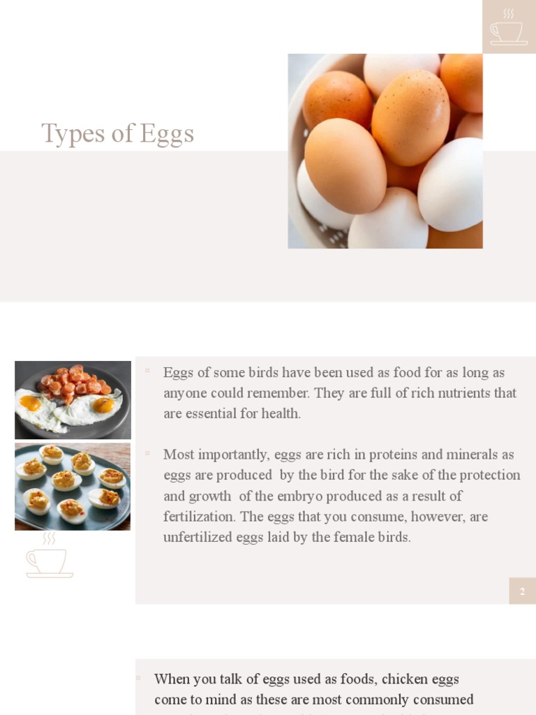 Types of Eggs | PDF | Egg | Egg As Food