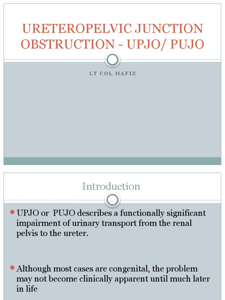 Pujo / Upjo | PDF | Kidney | Medical Specialties