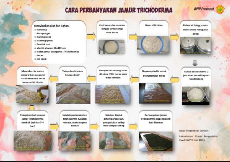 Perbanyakan Trichoderma | PDF
