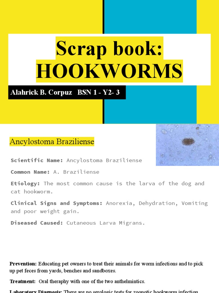 Hookworms Micp Pdf Health Sciences Microbiology