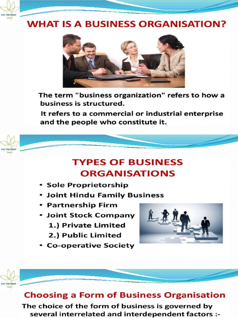 Chapter 2 - Forms of Business Organisation | PDF